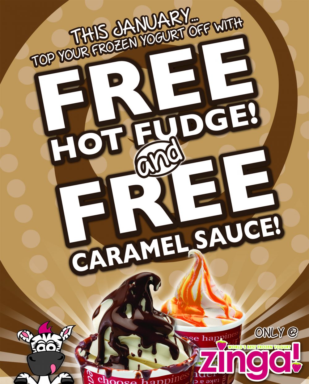 Zinga Frozen Yogurt – Christopher Michael | Brands